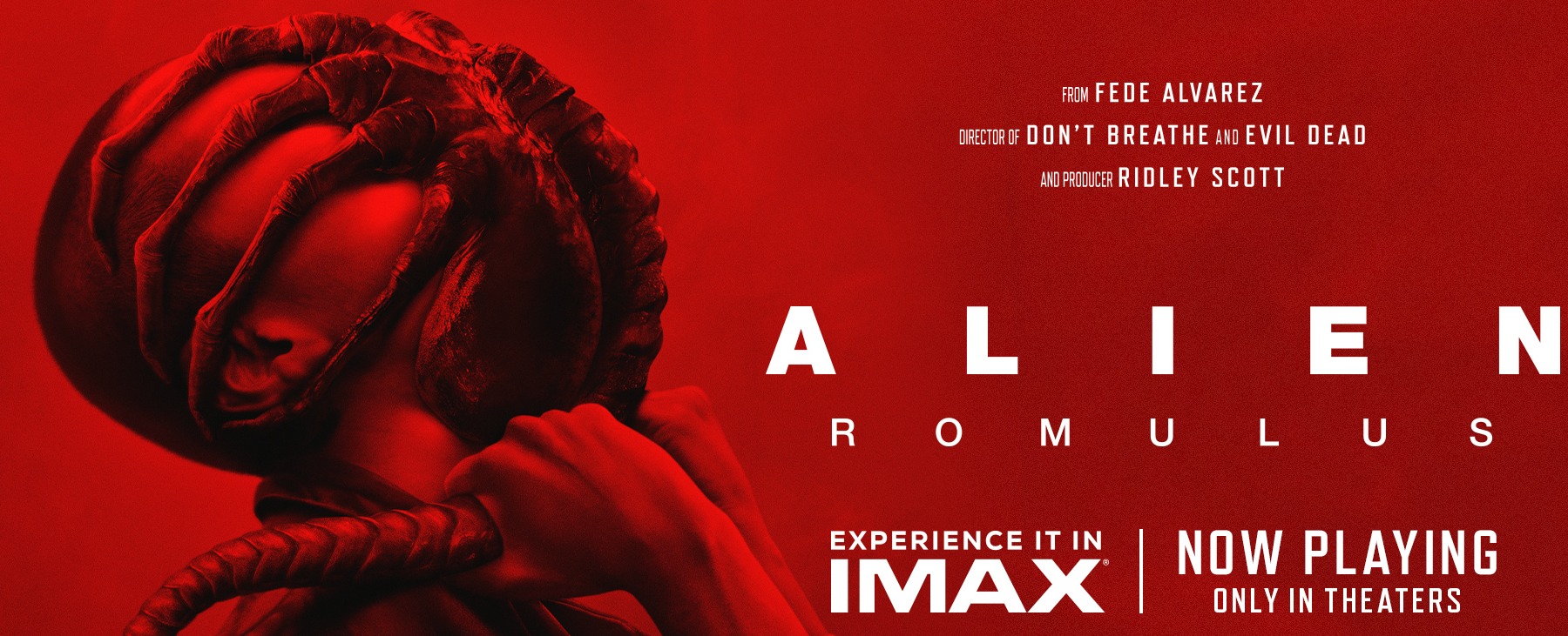 REVIEW: ‘Alien Romulus’ successfully returns series to its roots ...